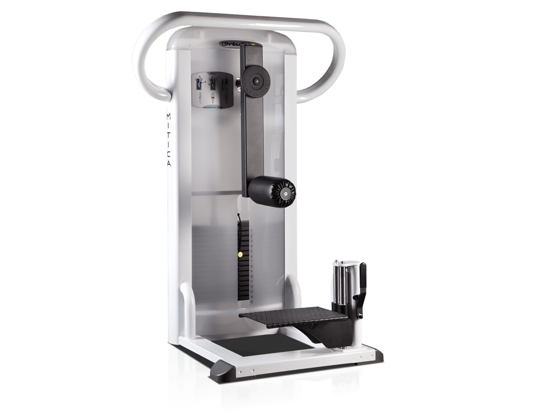 Machine Presse a Fessiers Hip MP14 pour centres sportifs - Ortus Fitness